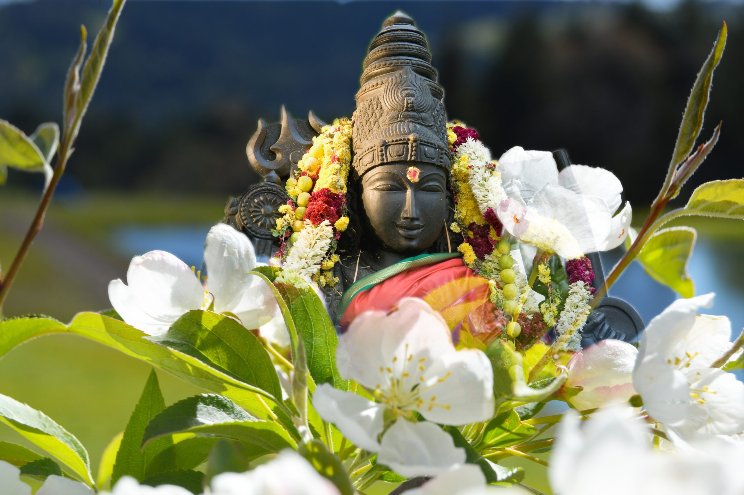 The Divine Mother Center - Divine Feminine - Ancient Palm Leaf ...