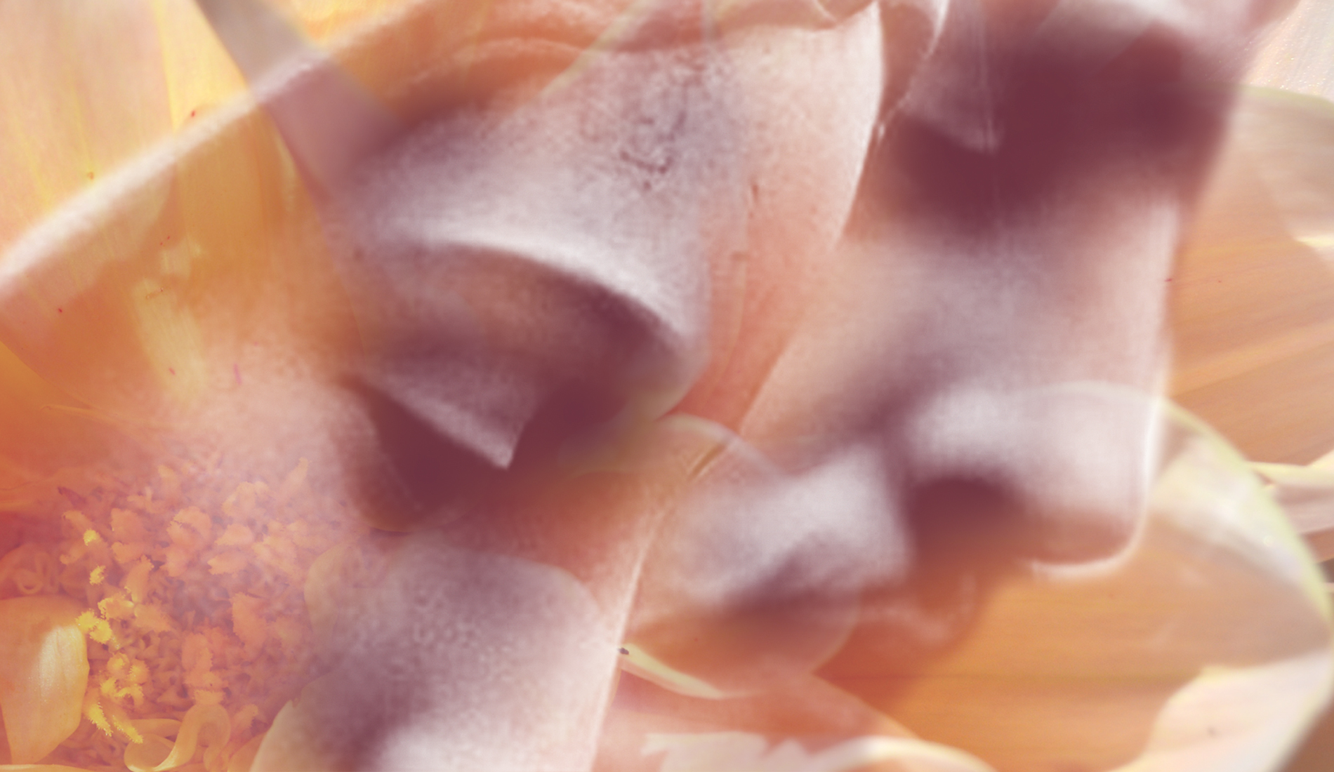 Mary & Jesus | Holy Womb | Soul Mate | Power of Women