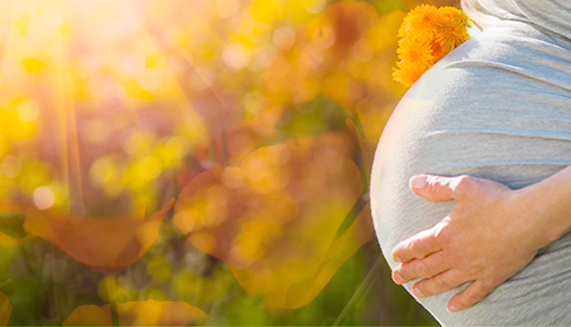 The Holy Womb Initiative | Our Mission