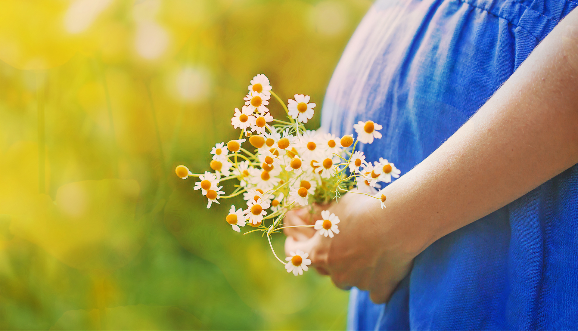 The Holy Womb Initiative | Receive the Blessing