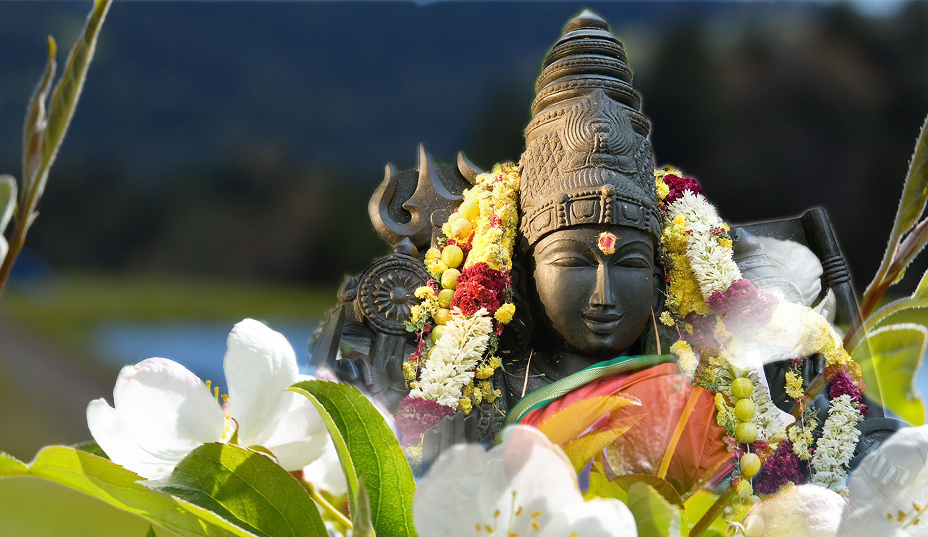 The Divine Mother Center - Divine Feminine - Holy Womb Chakra ...