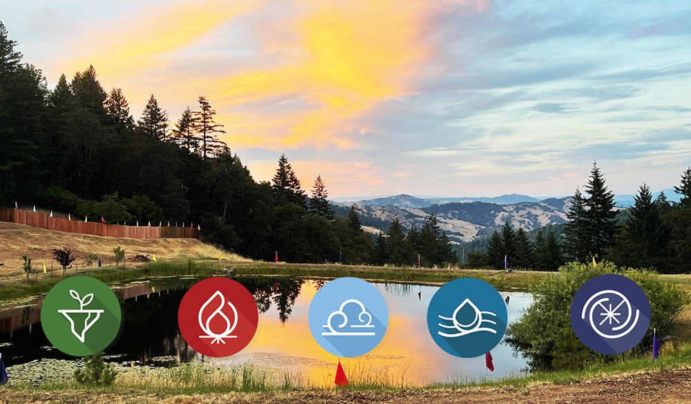 Meditation | Five Elements